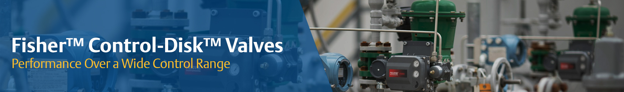 Fisher™ Control-Disk™ Valves